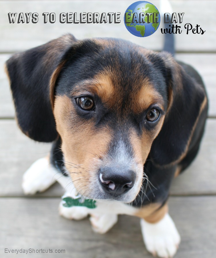 Ways to Celebrate Earth Day with Pets - Everyday Shortcuts