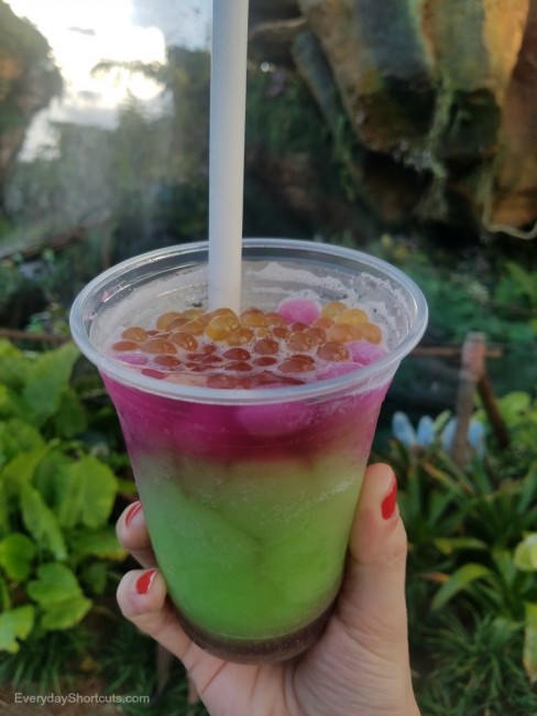 5 Things You Don't Want to Miss at Disney's Pandora - The World of ...