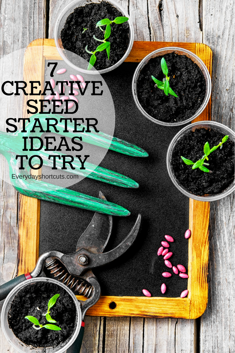 7 Creative Seed Starter Ideas to Try - Everyday Shortcuts