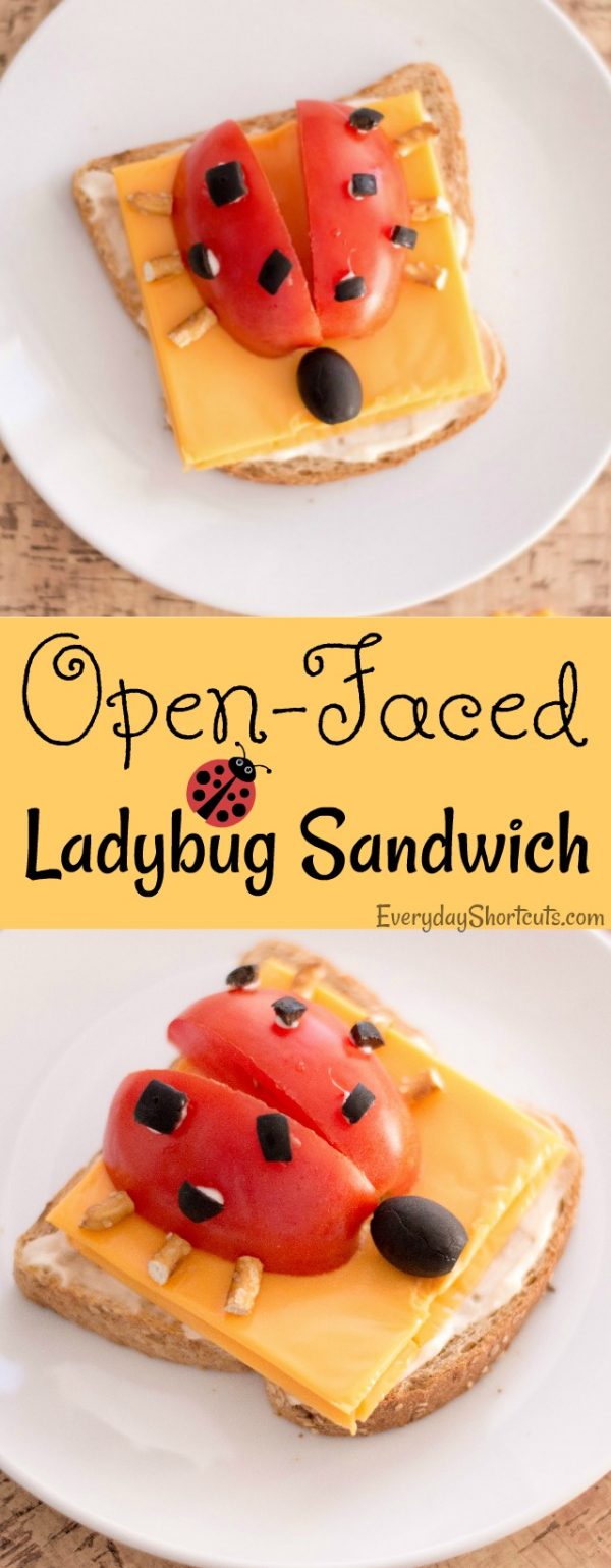 Open-Faced Ladybug Sandwich - Everyday Shortcuts