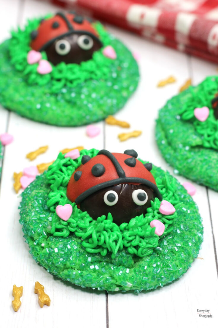 Love Bug Cookies - Everyday Shortcuts