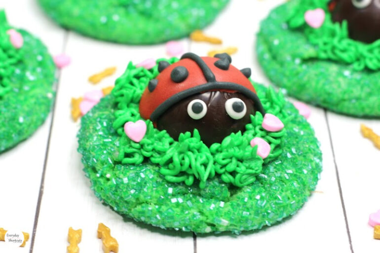 Love Bug Cookies - Everyday Shortcuts