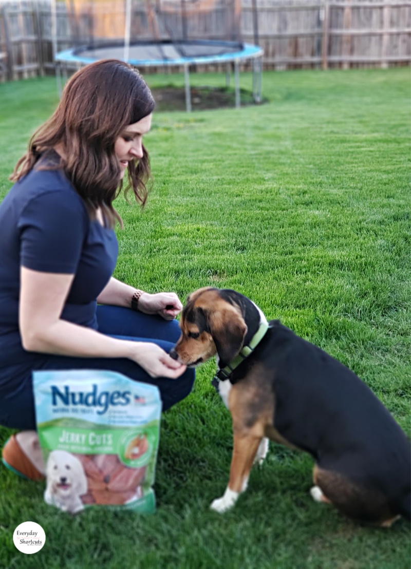 reggie and I - Everyday Shortcuts