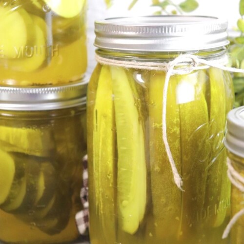 Canning Pickles Recipe {Kosher and Polish Pickles} - Everyday Shortcuts