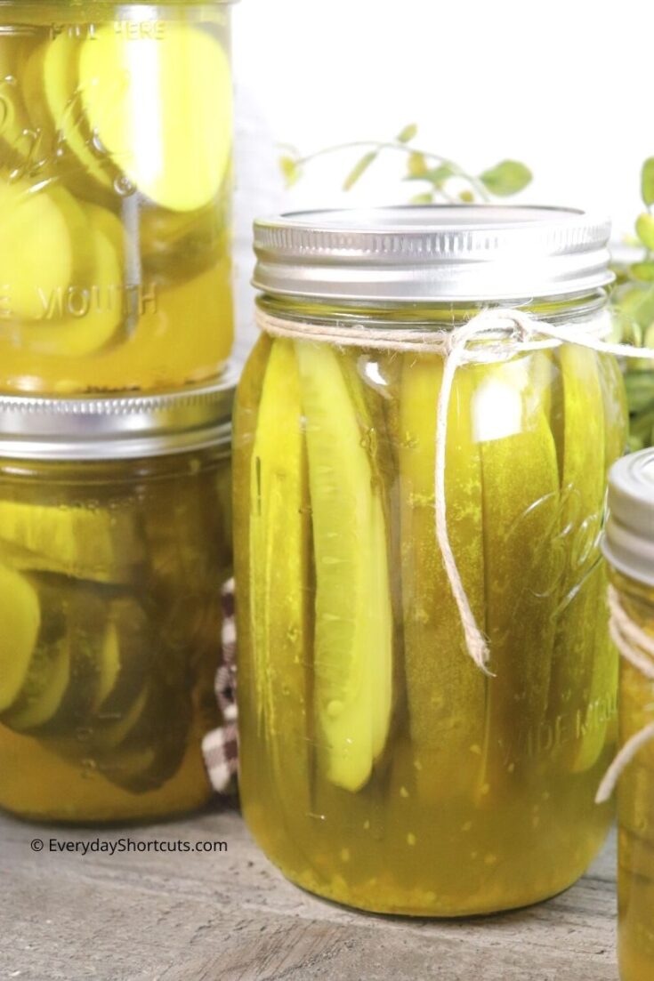 Canning Pickles Recipe {Kosher and Polish Pickles} - Everyday Shortcuts