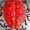 Jello Brain Recipe - Everyday Shortcuts