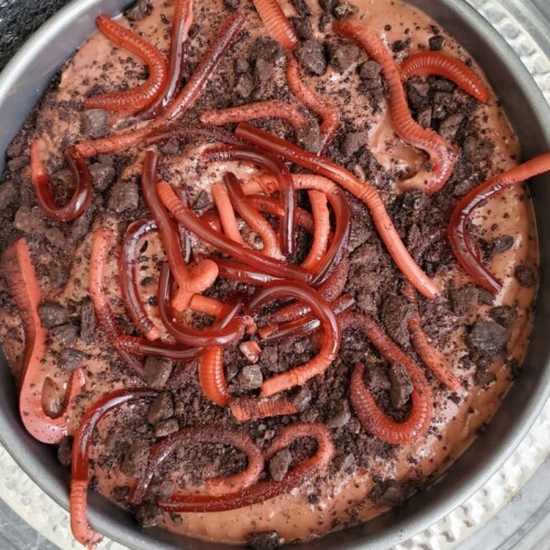 Jello Worms - Everyday Shortcuts