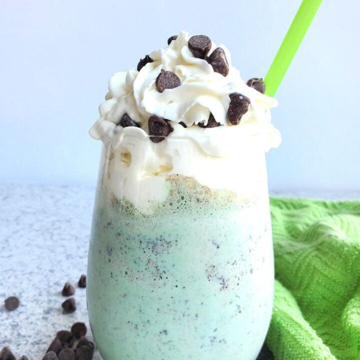 Mint Chocolate Chip Shake - Everyday Shortcuts