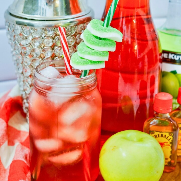 Fireball Cranberry Apple Cocktail - Everyday Shortcuts
