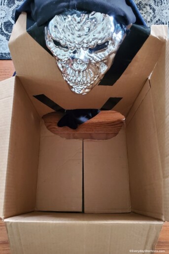 DIY Carry Me in a Box Costume - Everyday Shortcuts