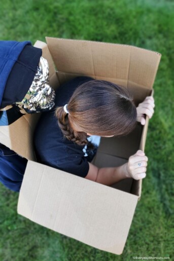 DIY Carry Me in a Box Costume - Everyday Shortcuts