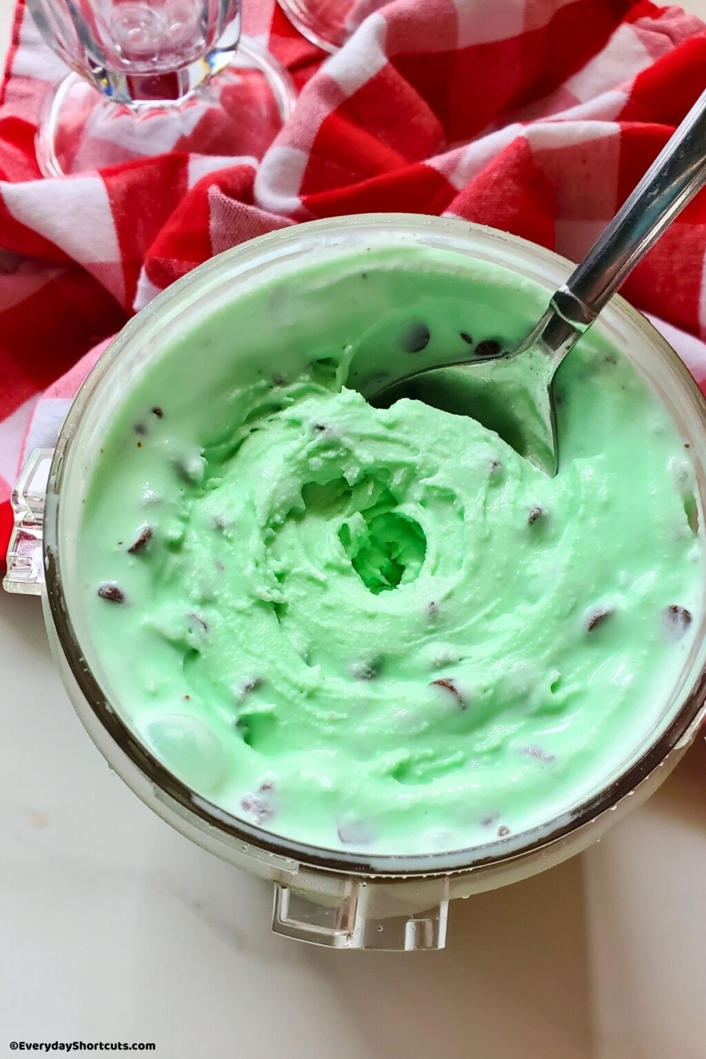 Ninja Creami Mint Chocolate Chip Ice Cream - Everyday Shortcuts