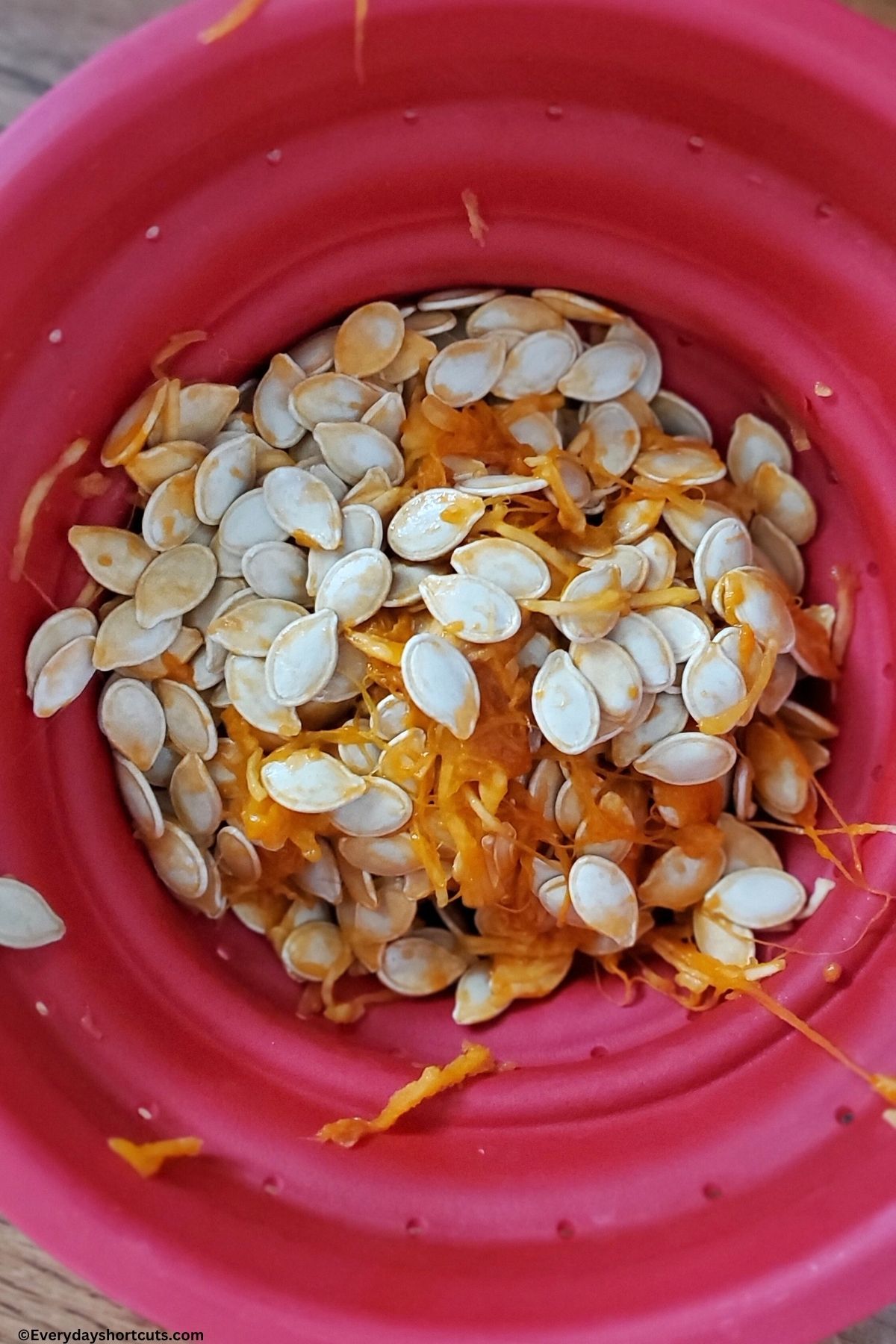 Easy Roasted Pumpkin Seeds Recipe - Everyday Shortcuts