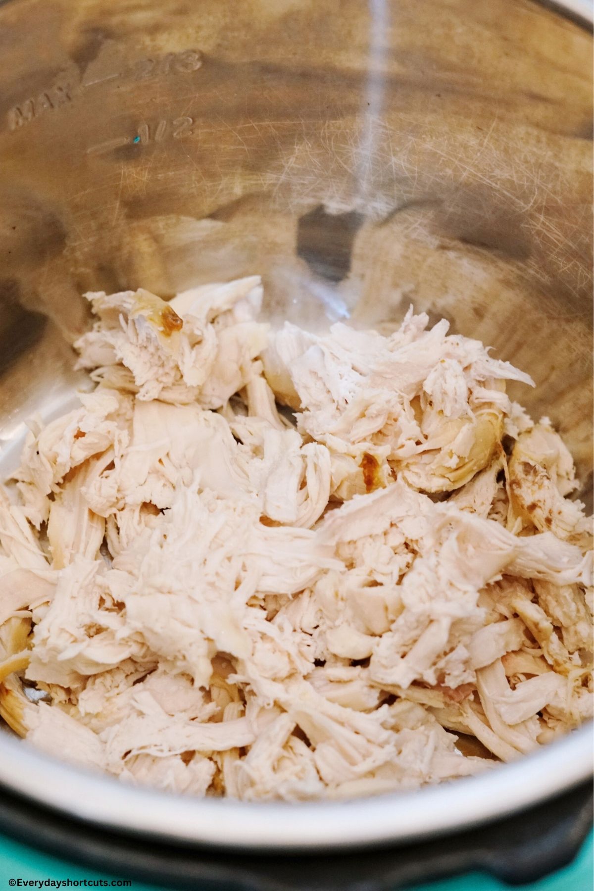 Instant Pot Rotisserie Chicken Noodle Soup - Everyday Shortcuts